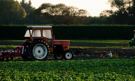 Explore Farming - New India Panchkula